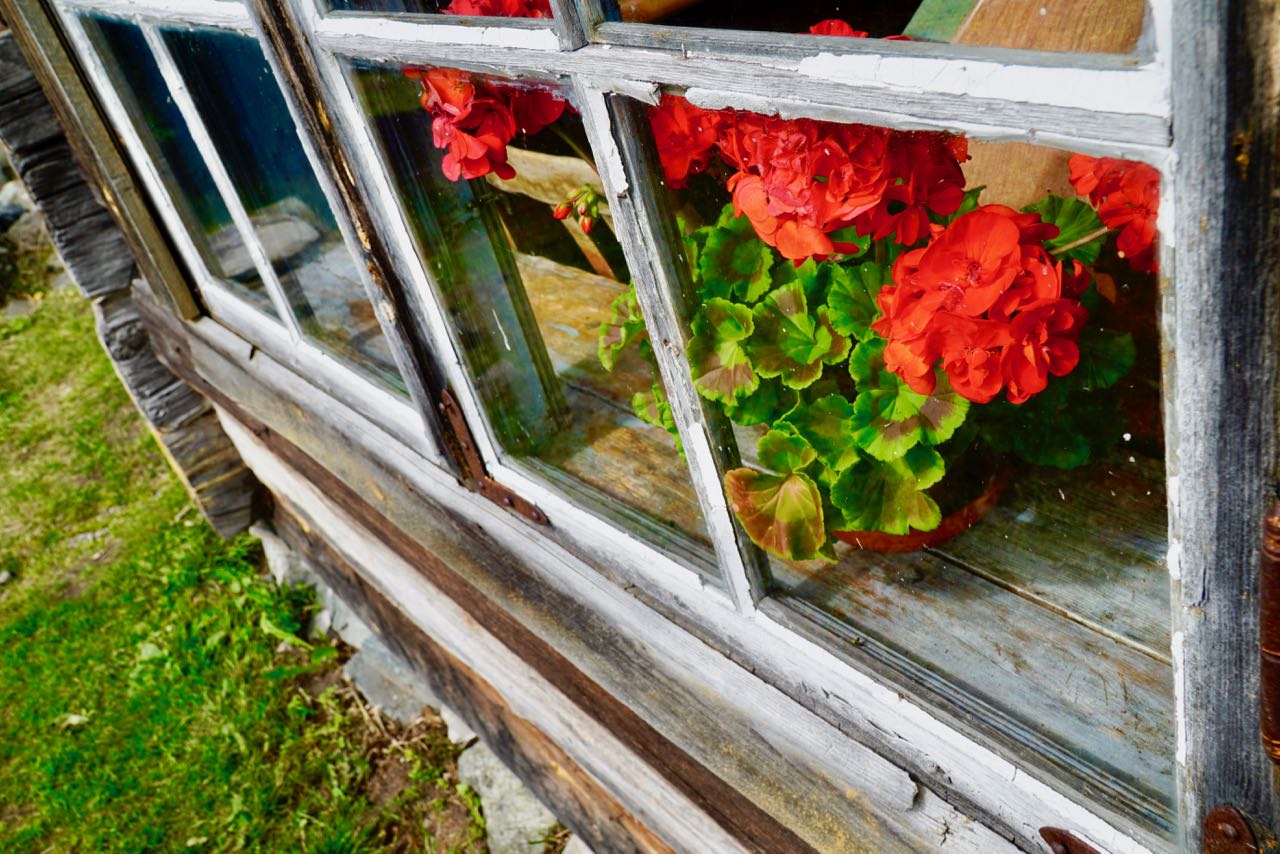 Traveling Back in Time: A Visit to the Historic Rui Farm