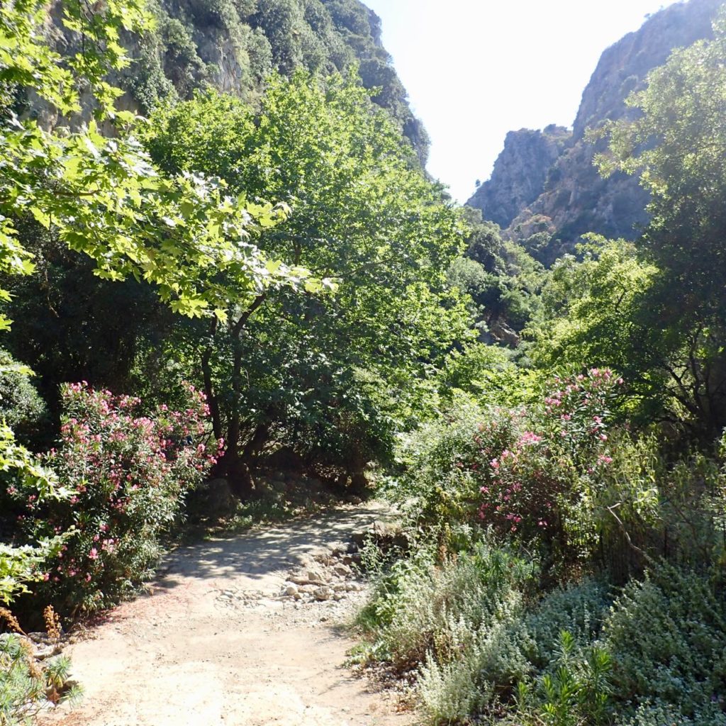 A Guide to Hiking the Deliana Gorge