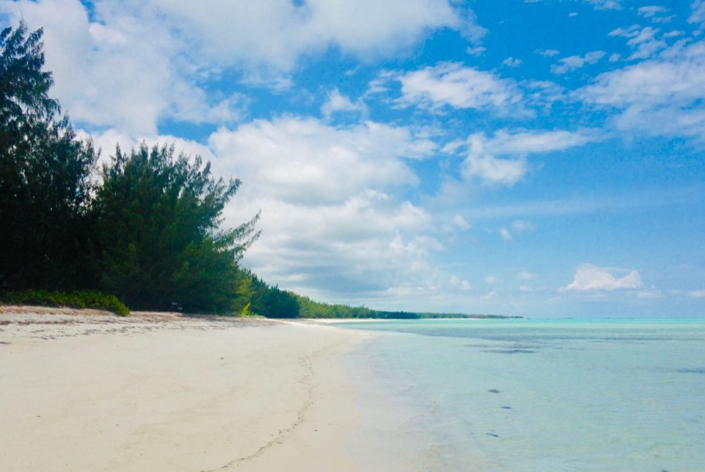 Everything You Need to Know About a Day Trip to North and Middle Caicos
