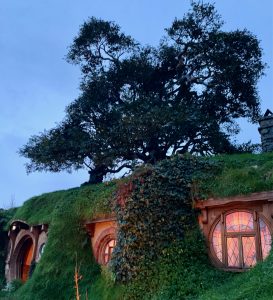 Singing in the Rain: A Review of the Magical Evening Banquet Tour at ...