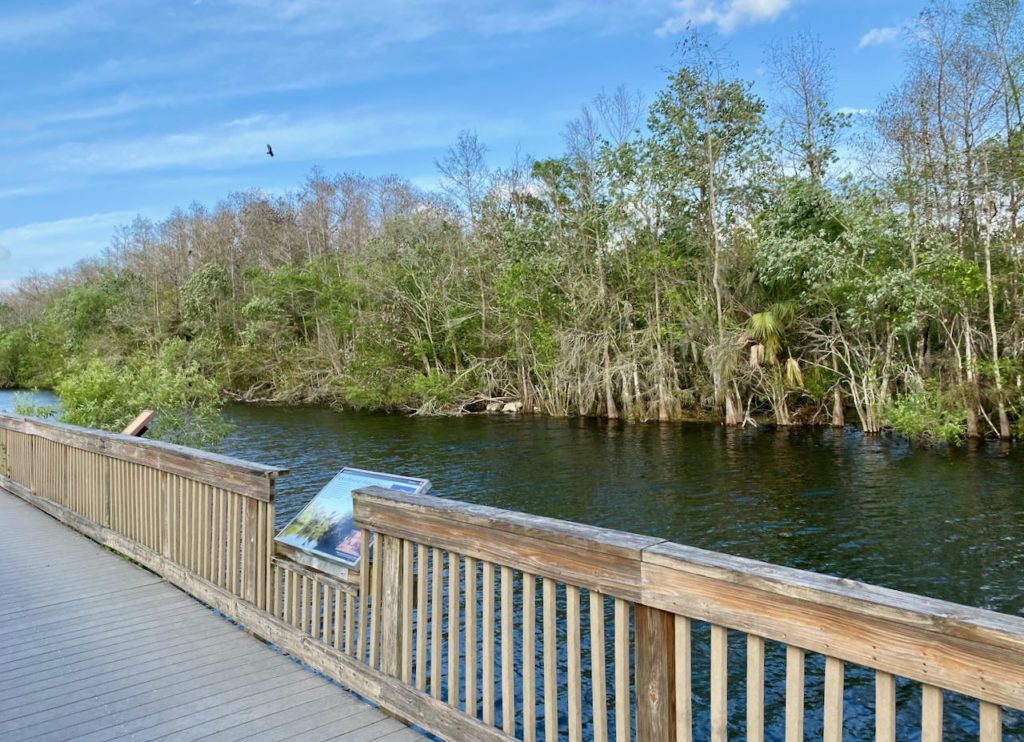 17 Attractions and Places to Stop Along the Tamiami Trail/U.S. Highway ...