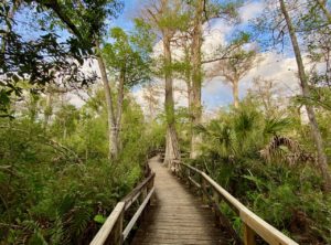 17 Attractions and Places to Stop Along the Tamiami Trail/U.S. Highway ...