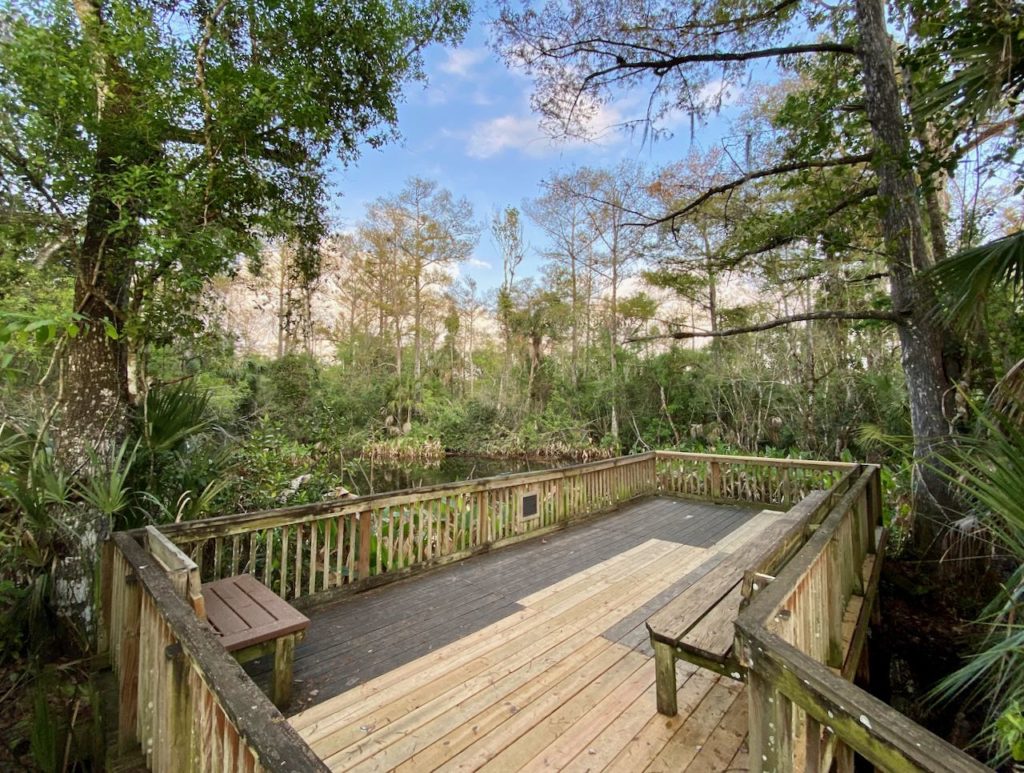 17 Attractions and Places to Stop Along the Tamiami Trail/U.S. Highway ...