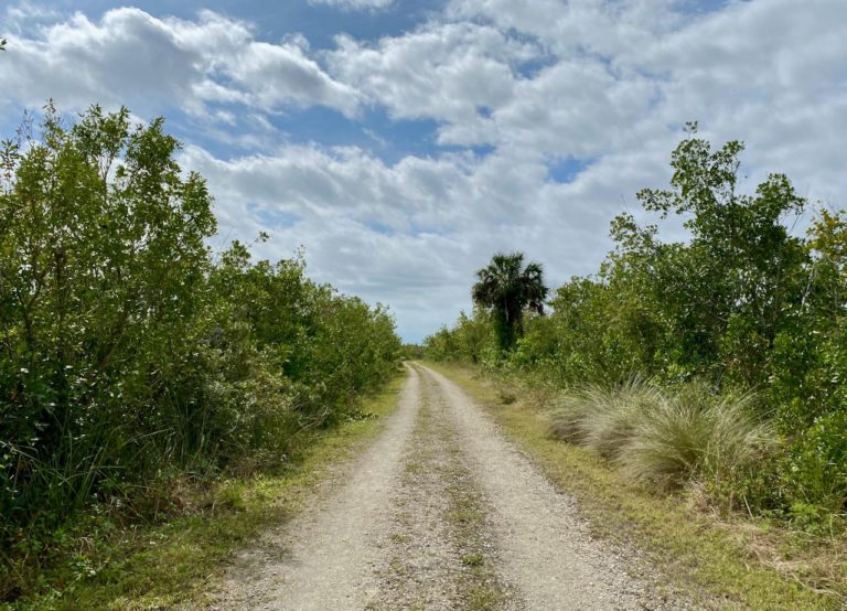 17 Attractions and Places to Stop Along the Tamiami Trail/U.S. Highway ...