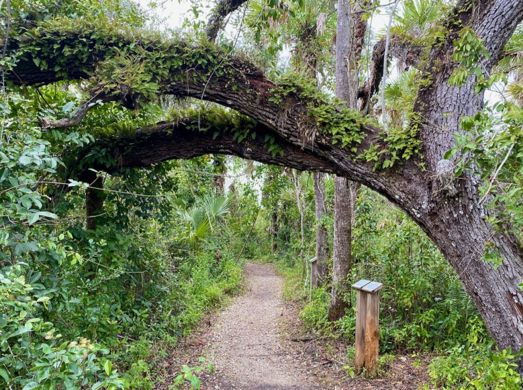 17 Attractions and Places to Stop Along the Tamiami Trail/U.S. Highway ...